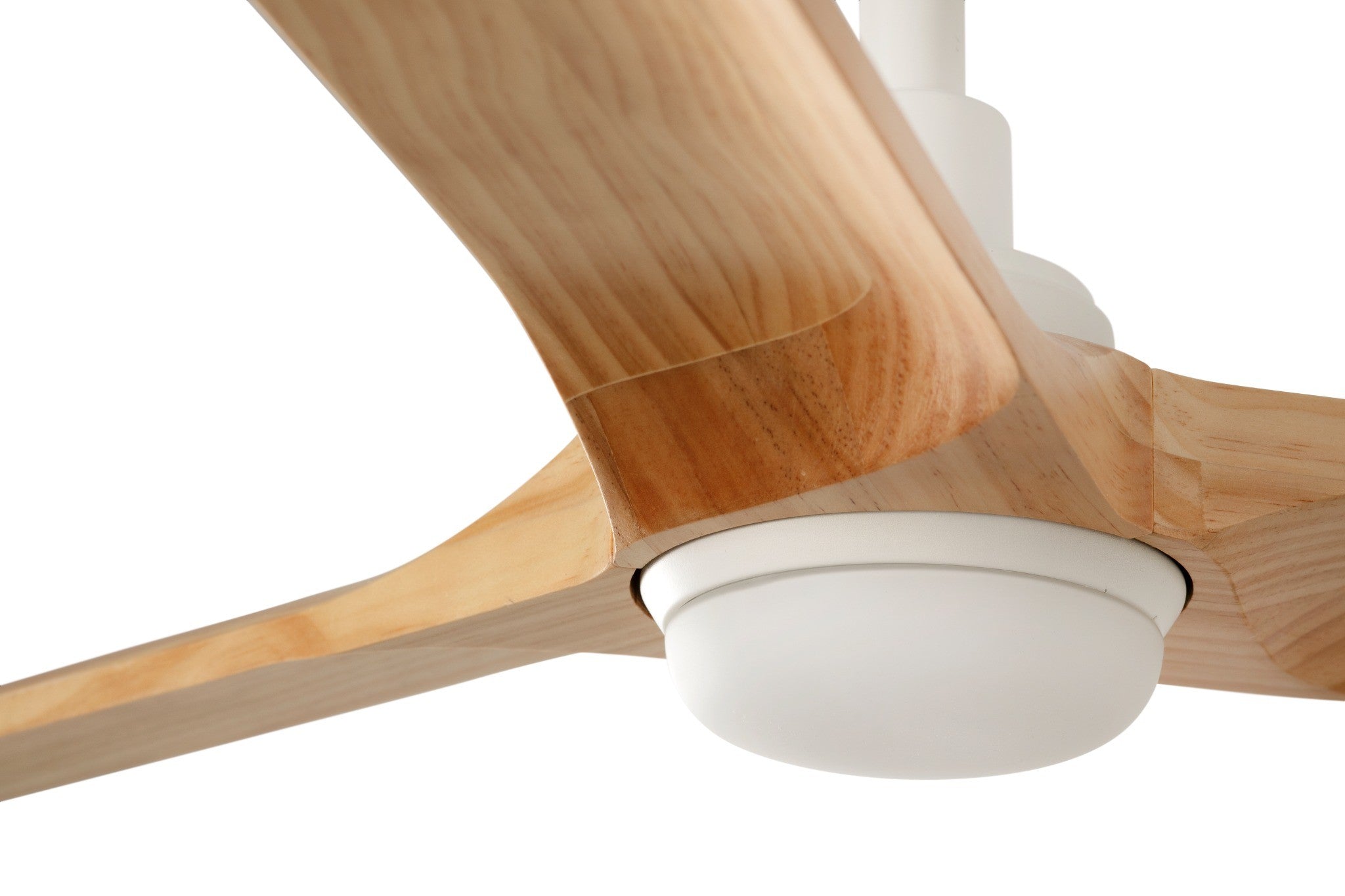 Ceiling Fans with Light